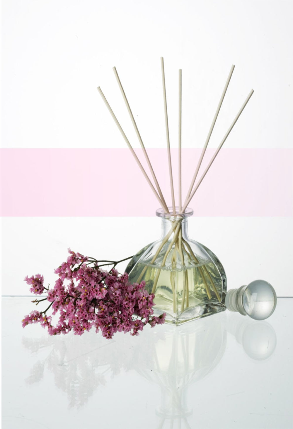 Buy Disinfectants and Floor cleaners - Order Cleansol Products Online